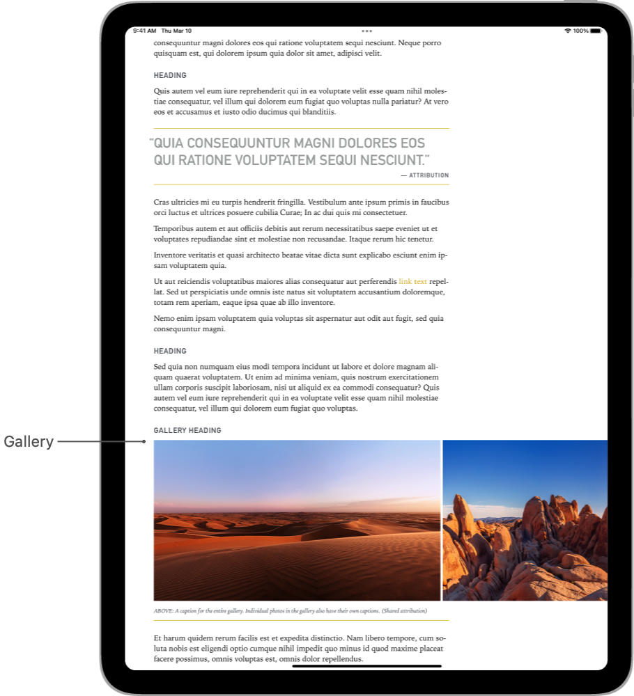 Gallery Apple Developer Documentation