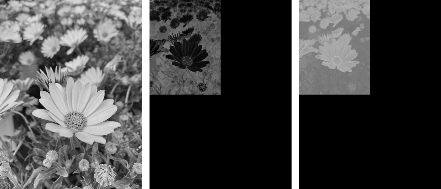 Converting chroma-subsampled images | Apple Developer Documentation