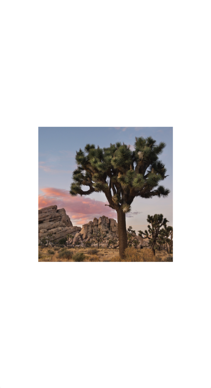 Creating and combining views | Apple Developer Documentation