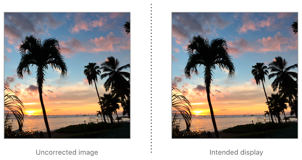 UIImage.Orientation.up | Apple Developer Documentation