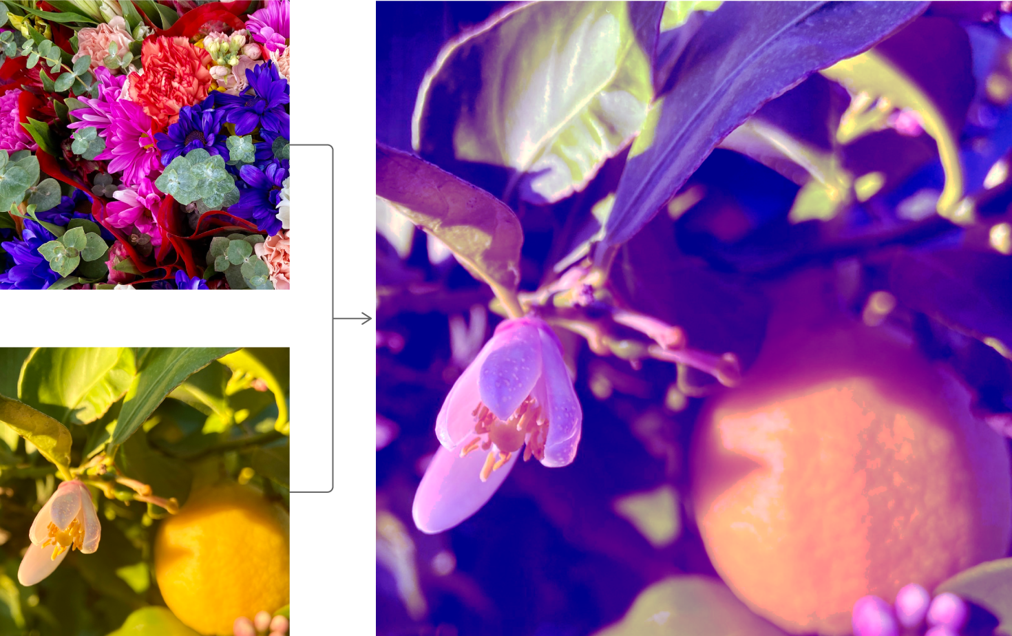 Specifying histograms with vImage | Apple Developer Documentation