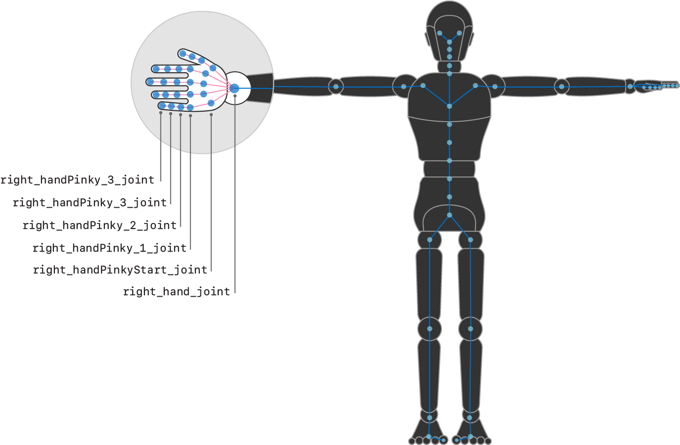 Validating a Model for Motion Capture | Apple Developer Documentation
