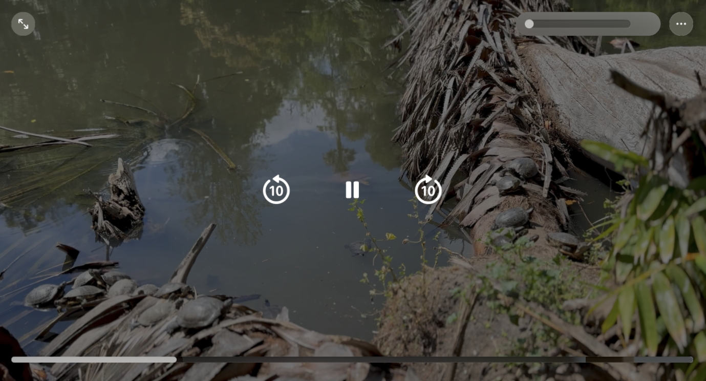 Adopting the system player interface in visionOS | Apple Developer ...