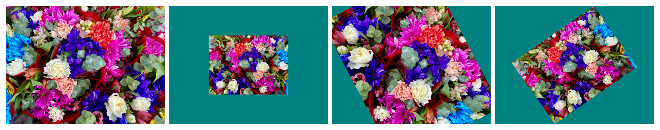 Applying geometric transforms to images | Apple Developer Documentation