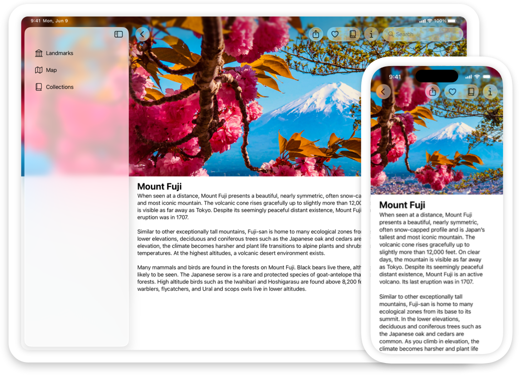 Interface fundamentals | Apple Developer Documentation