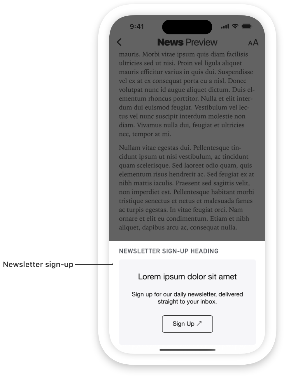 Creating a Newsletter Sign-Up Element | Apple Developer Documentation