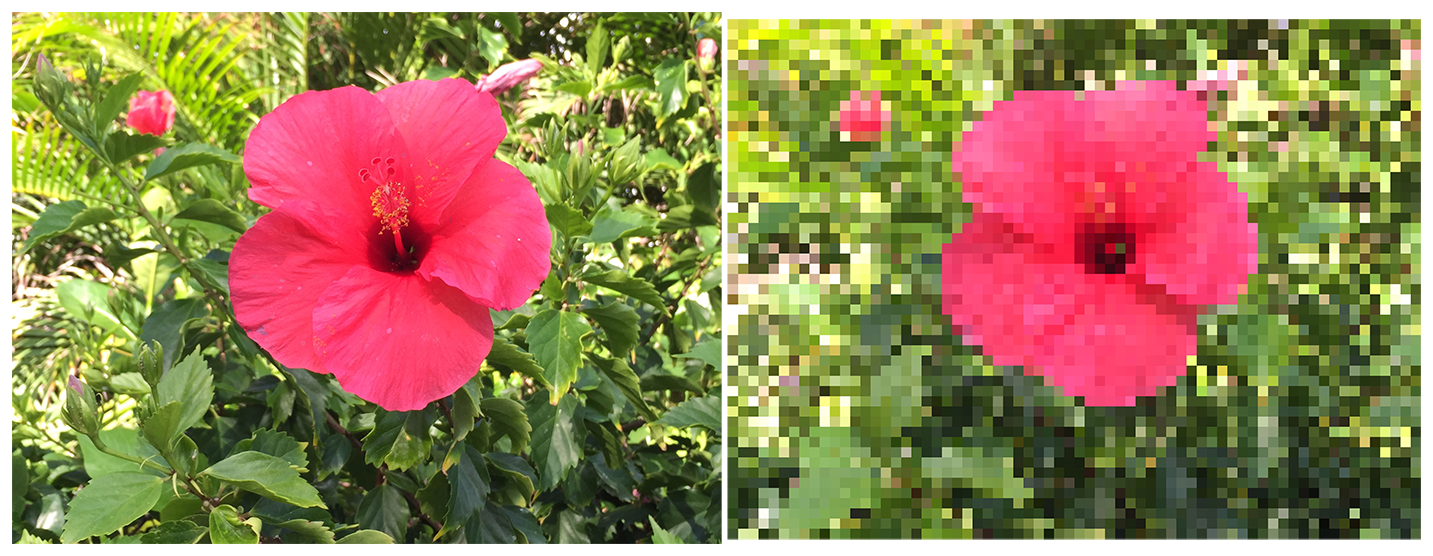 pixellate() | Apple Developer Documentation