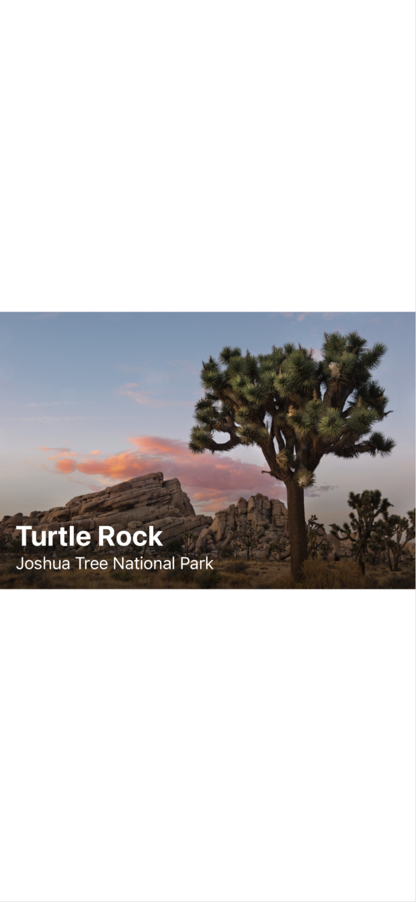 Interfacing with UIKit | Apple Developer Documentation