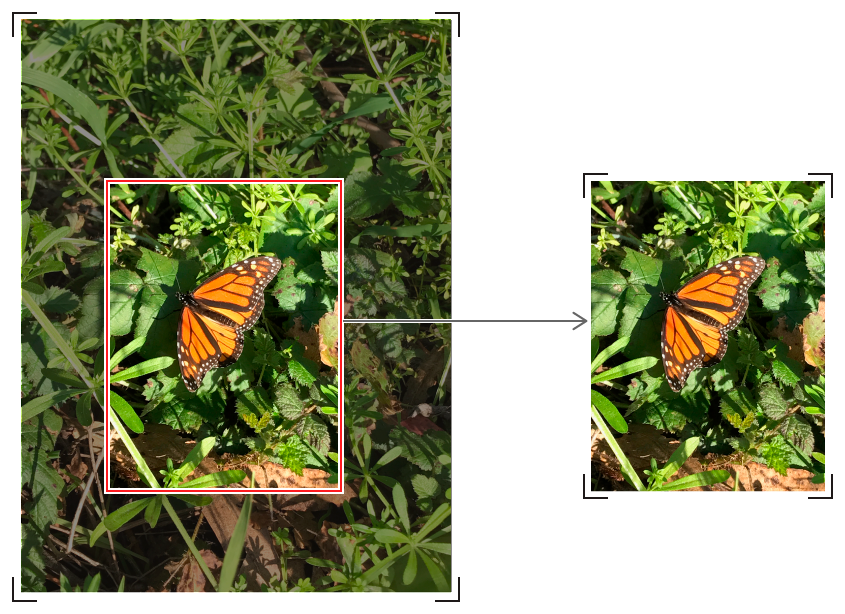 cropping(to:) | Apple Developer Documentation