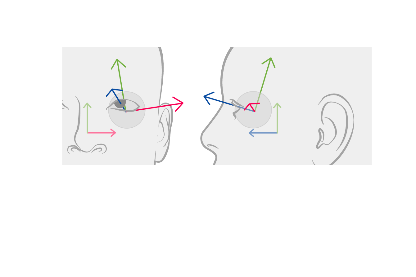 leftEyeTransform | Apple Developer Documentation
