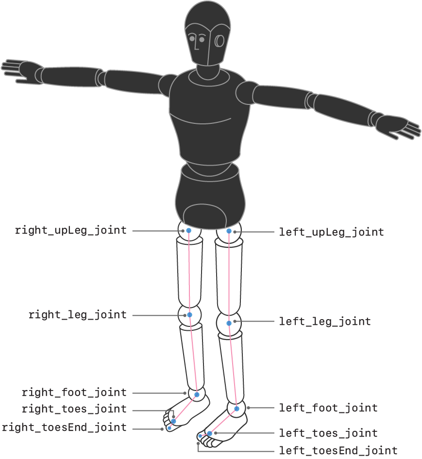 Validating a Model for Motion Capture | Apple Developer Documentation