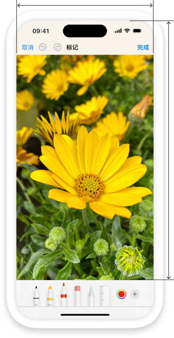 Apple Pencil 和随手写 | Apple Developer Documentation