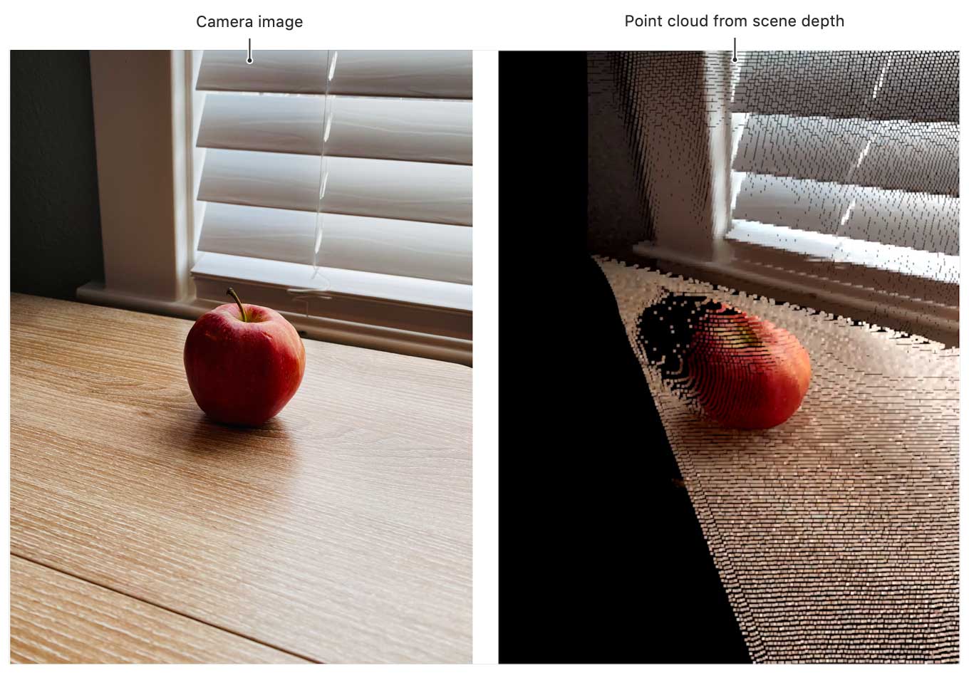 Displaying a point cloud using scene depth | Apple Developer Documentation
