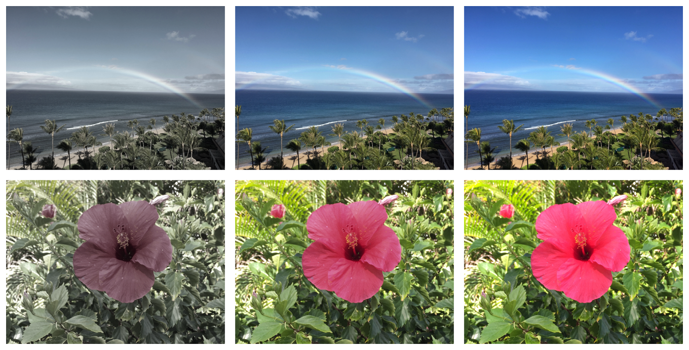 Adjusting saturation and applying tone mapping | Apple Developer ...