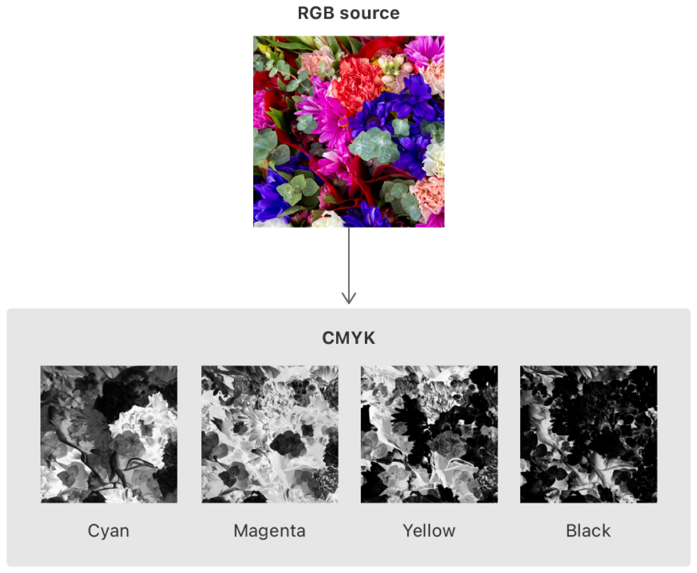 Applying color transforms to images with a multidimensional lookup ...