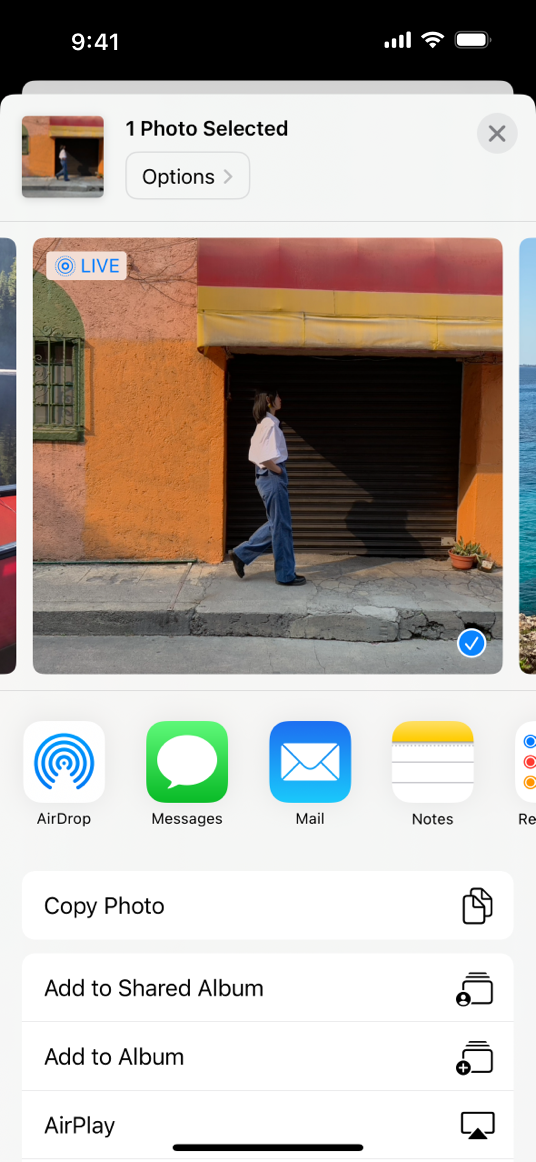 Live Photos | Apple Developer Documentation