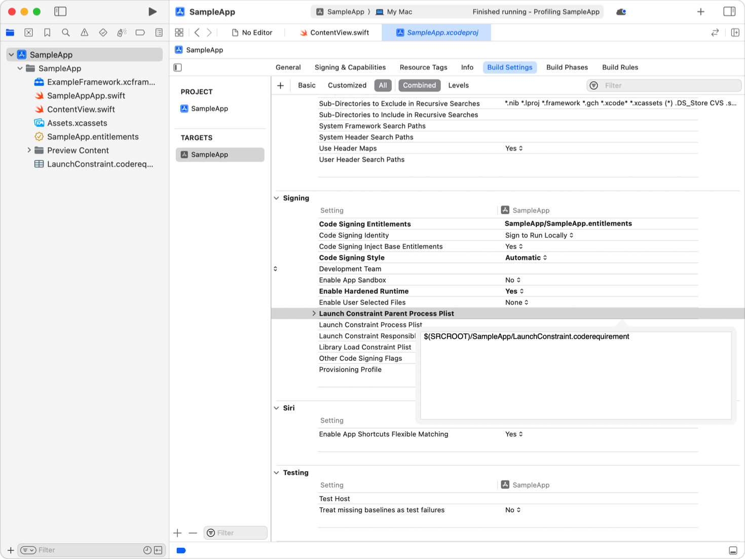 Applying launch environment and library constraints | Apple Developer Documentation