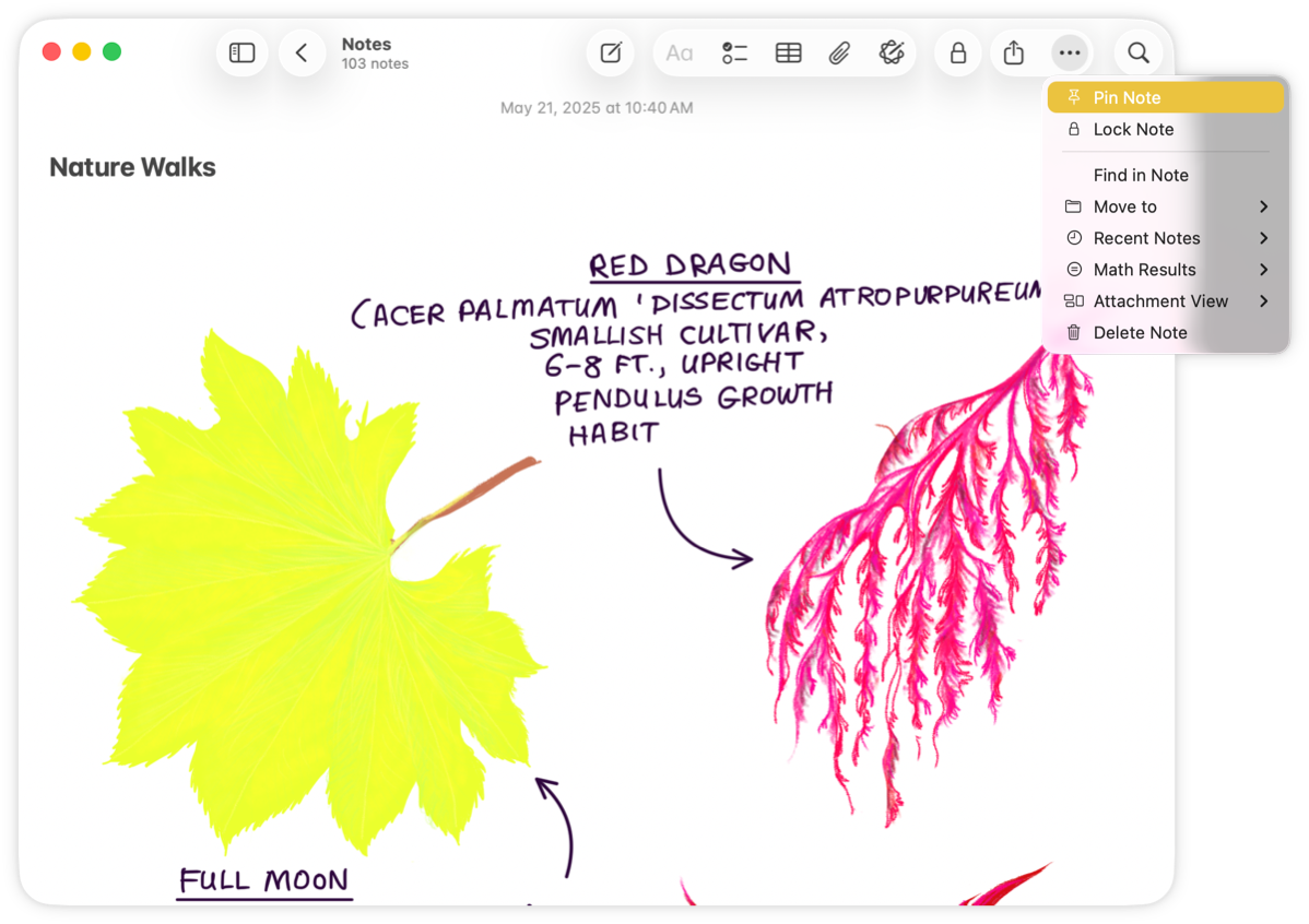 Toolbars | Apple Developer Documentation