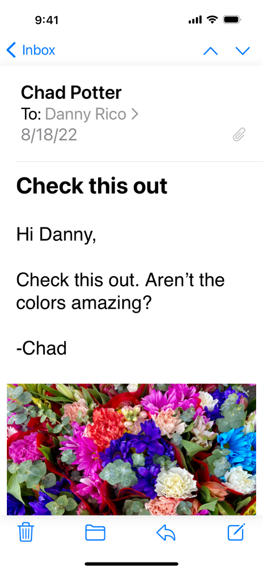 Accessibility | Apple Developer Documentation