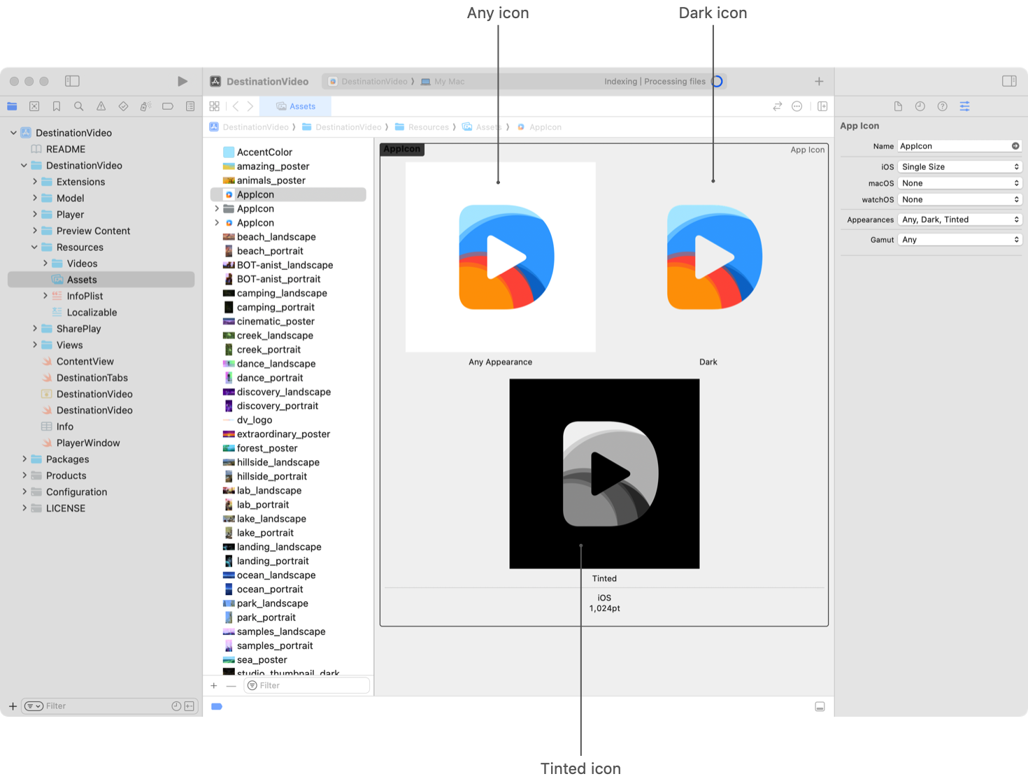 Configuring Your App Icon Apple Developer Documentation