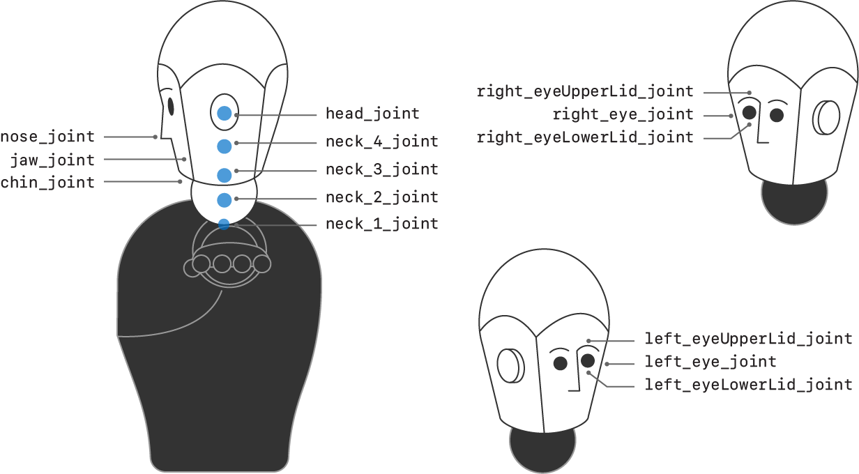 Validating A Model For Motion Capture Apple Developer Documentation 5814
