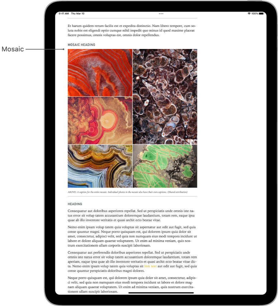 Mosaic | Apple Developer Documentation