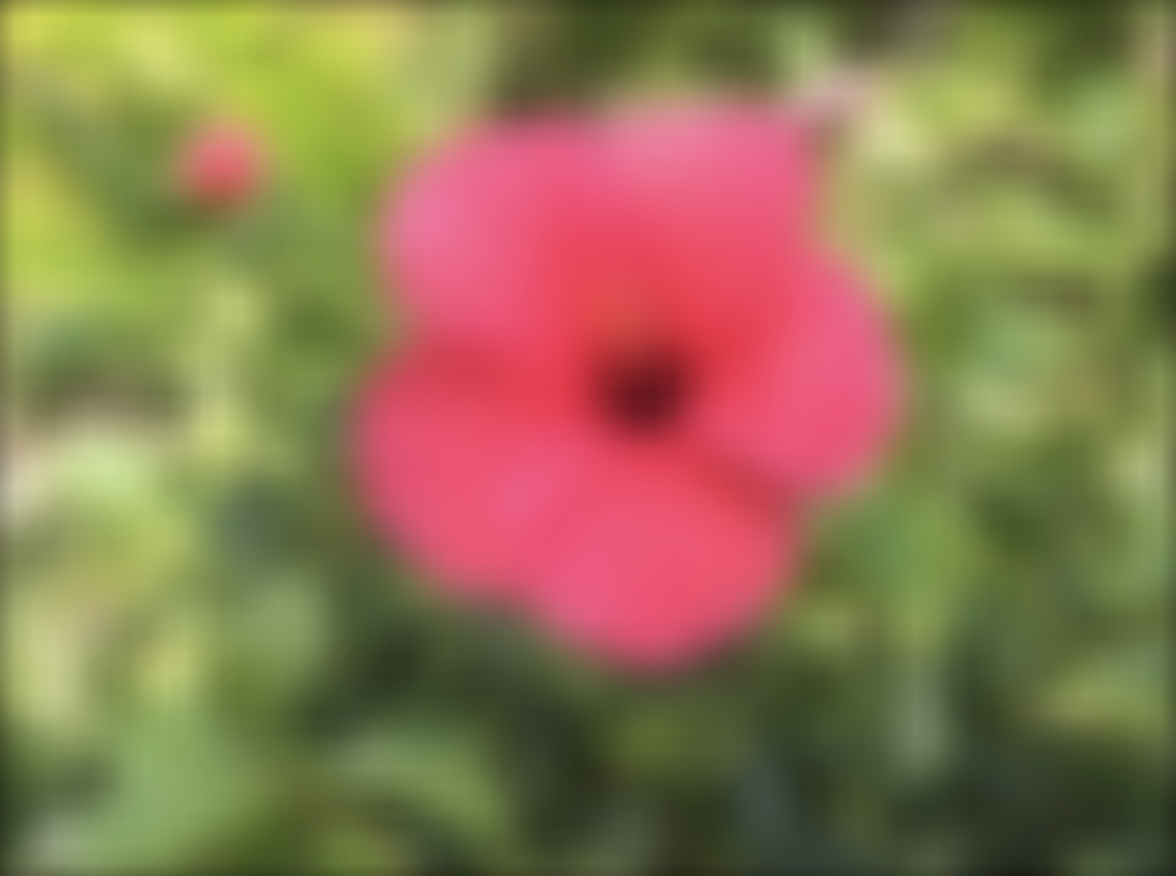 Implementing a Multistage Image Filter Using Heaps and Fences | Apple Developer Documentation