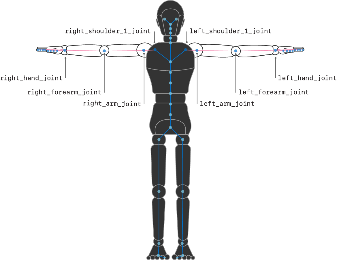 Validating a Model for Motion Capture | Apple Developer Documentation