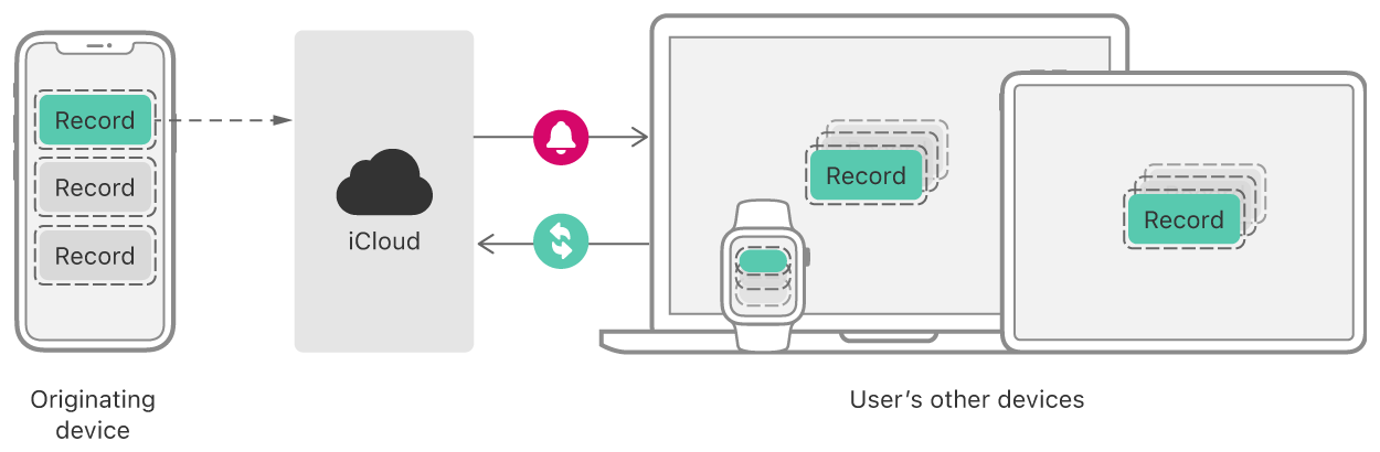 Remote Records | Apple Developer Documentation
