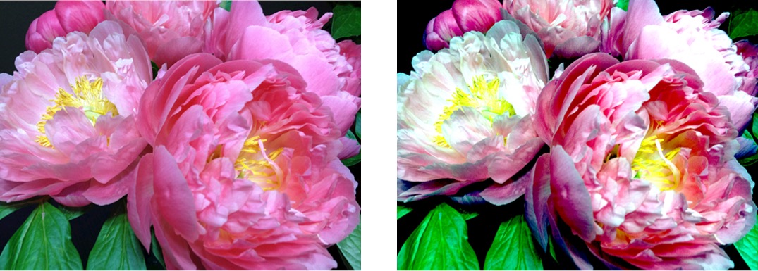 Integrating vImage pixel buffers into a Core Image workflow | Apple ...