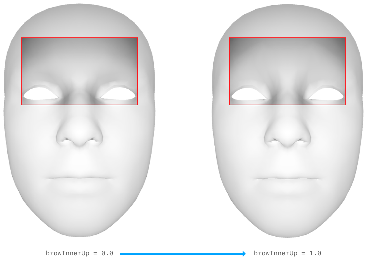 browInnerUp | Apple Developer Documentation