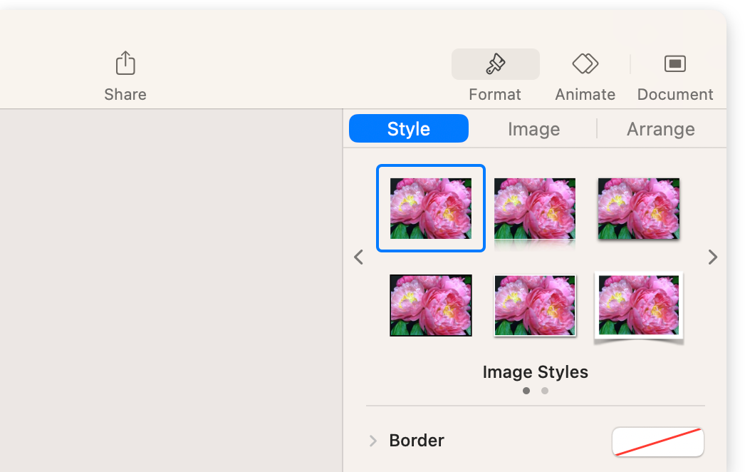 Buttons | Apple Developer Documentation