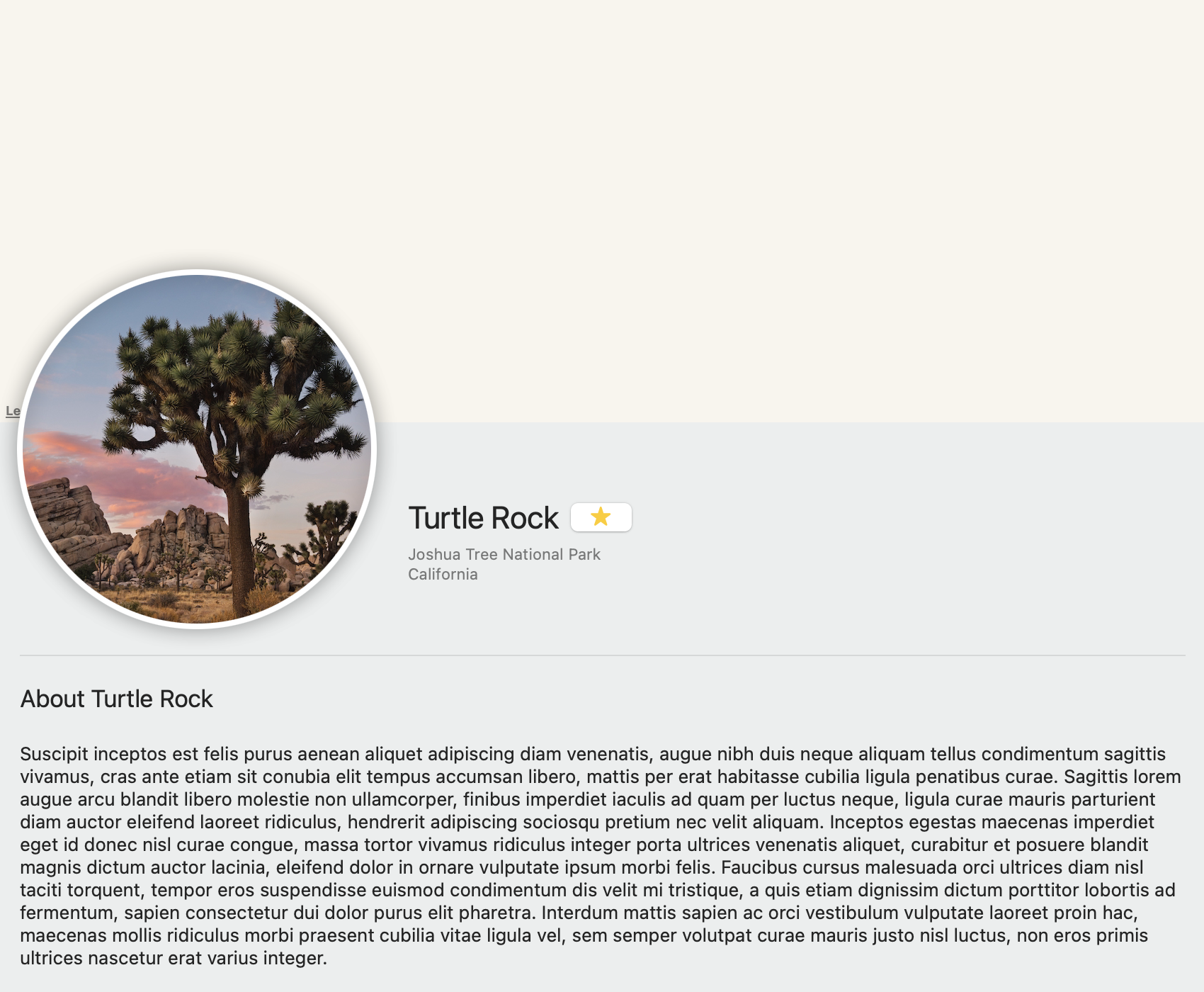 Creating a macOS App | Apple Developer Documentation