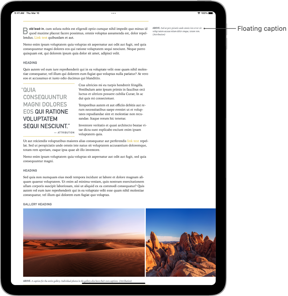 Creating a Floating Caption | Apple Developer Documentation