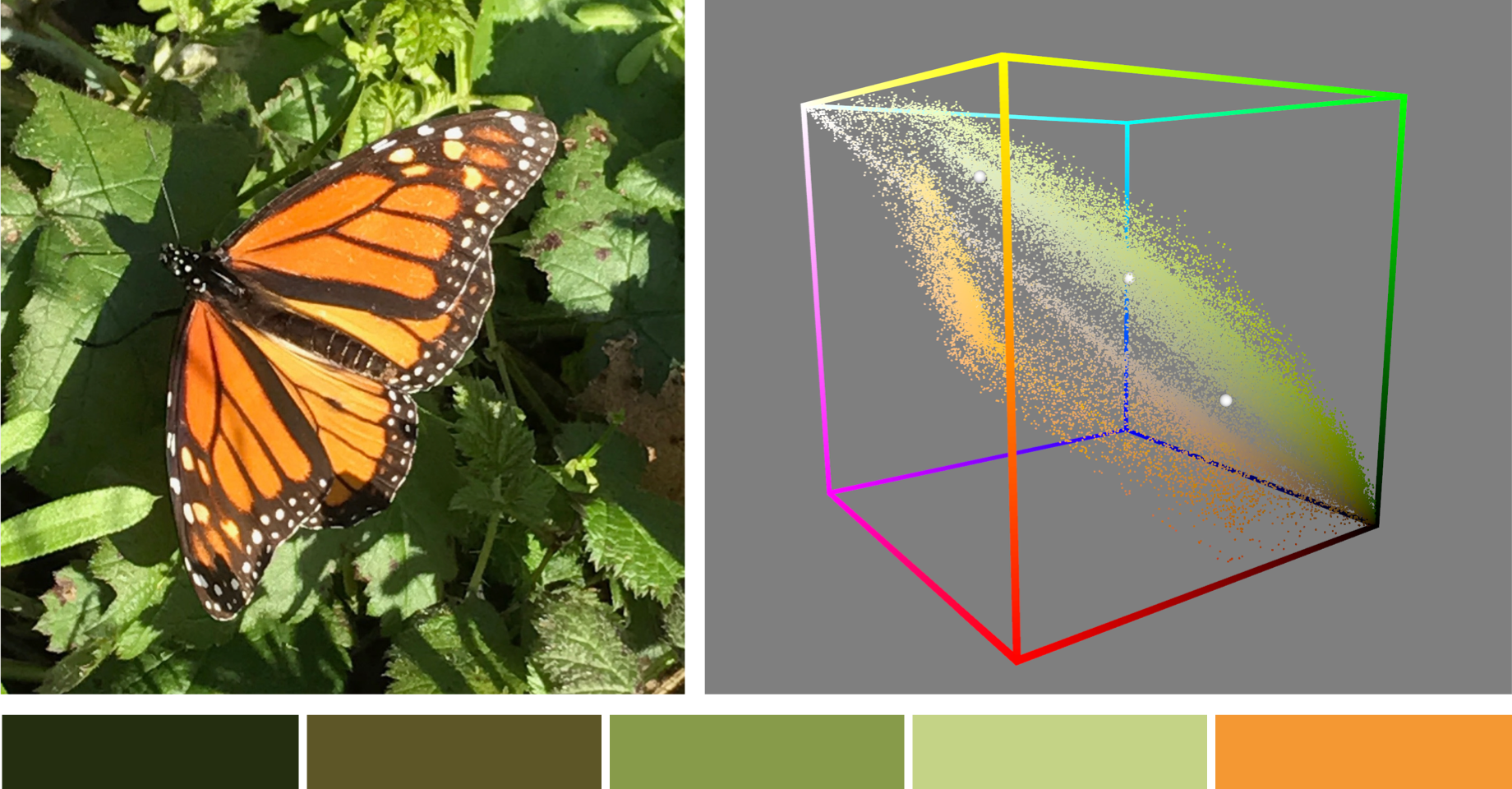 Calculating the dominant colors in an image | Apple Developer Documentation