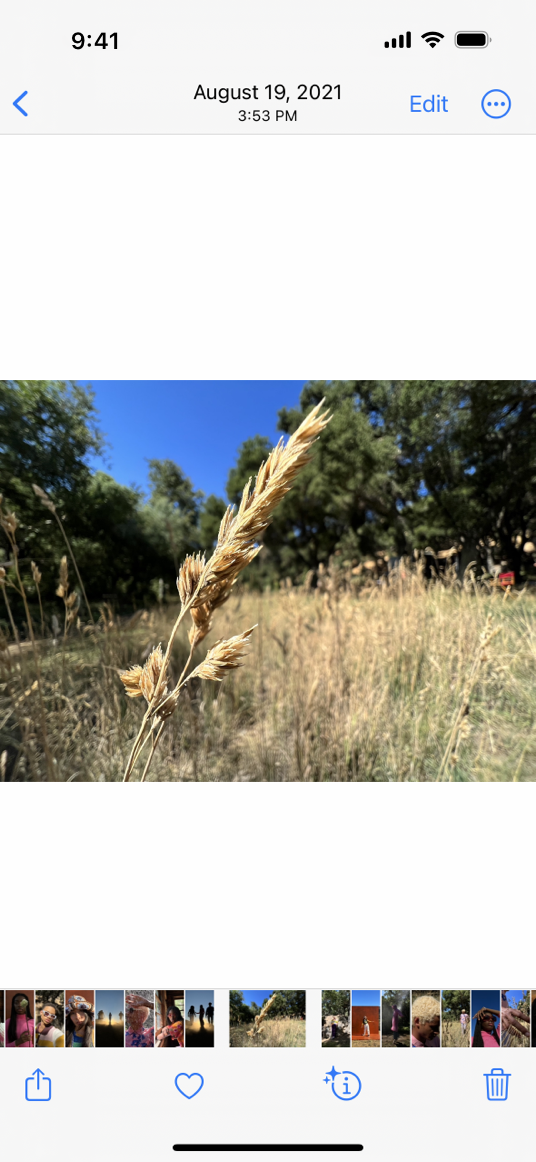 Status bars | Apple Developer Documentation