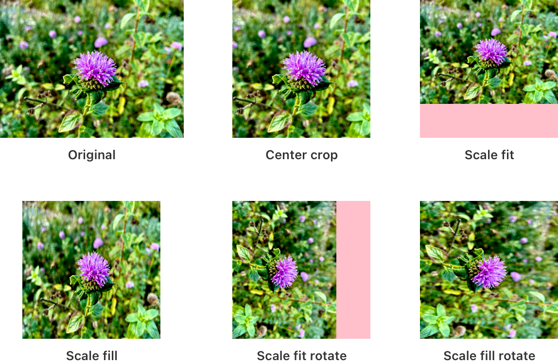 imageCropAndScaleOption | Apple Developer Documentation