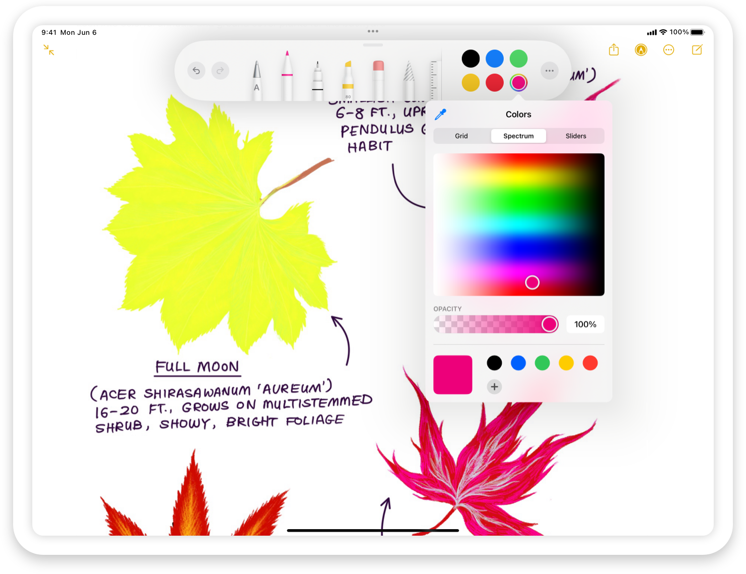 UIColorPickerViewController | Apple Developer Documentation